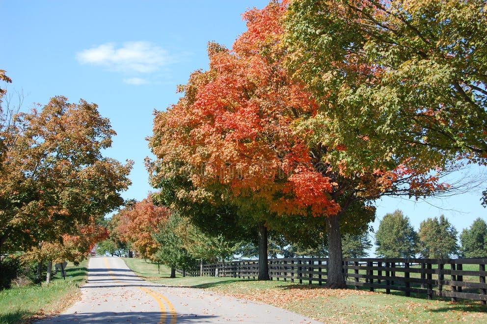Fall stock photo. Image of fence, forest, landscape, blue - 58937762