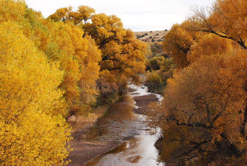 Fall trees along river stock image. Image of river, autumn - 11745009