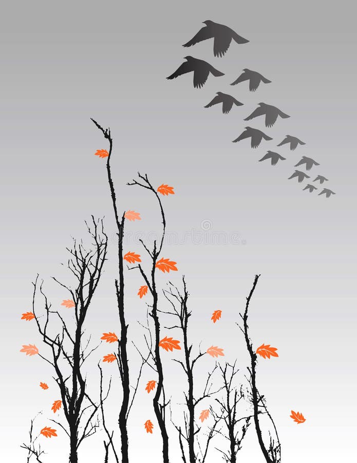 What If I Fall? Oh, My Darling, What If You Fly? Stock Illustration ...