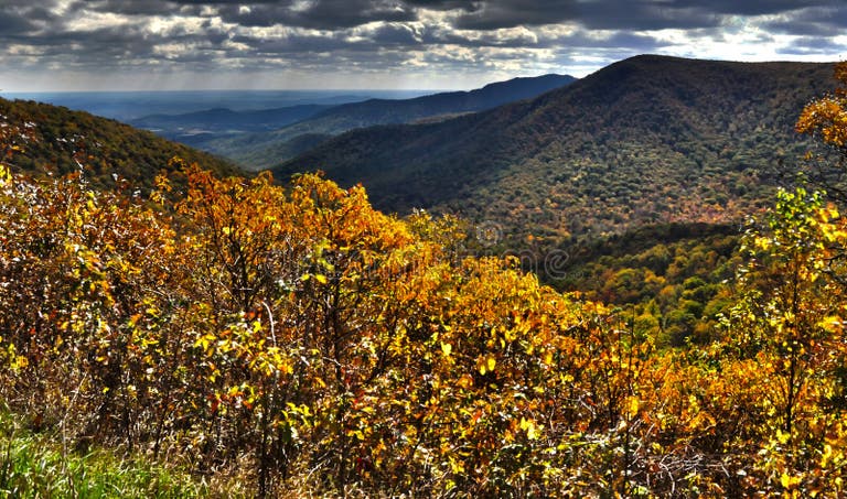 311 Hdri Fall Stock Photos - Free & Royalty-Free Stock Photos from ...