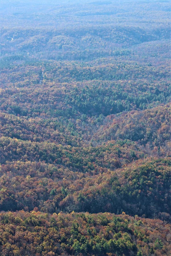 Fall Trees on Blue Ridge Mountains, Vertical Stock Image - Image of ...