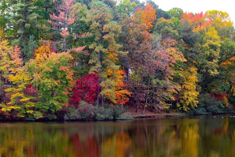 Fall Trees with Bright Colors and a Reflection of the Lake Stock Image ...