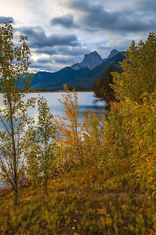 Fall Trees by a Canmore Mountain Lake Stock Image - Image of lake ...