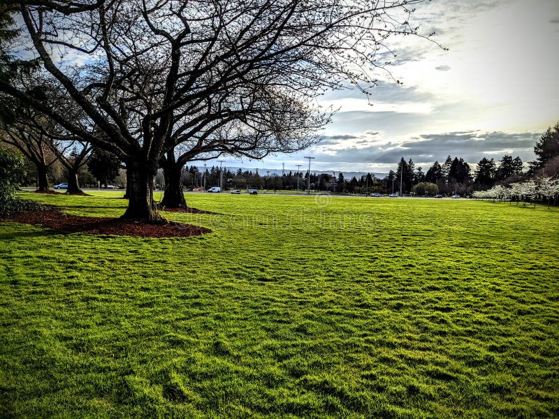 Fall College Campus stock photo. Image of campus, professor - 11807558