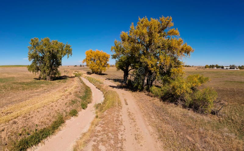 Fall Trees at Colorado Eastern Plains Stock Image - Image of farming ...