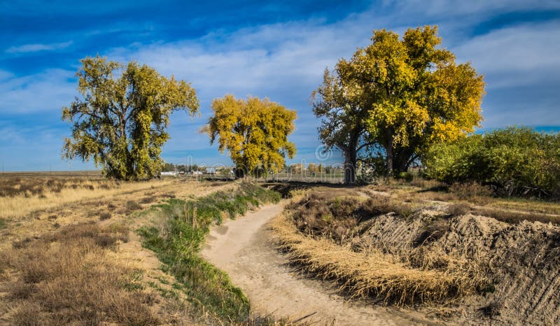 Fall trees stock image. Image of ditch, greenery, contrast - 140335329