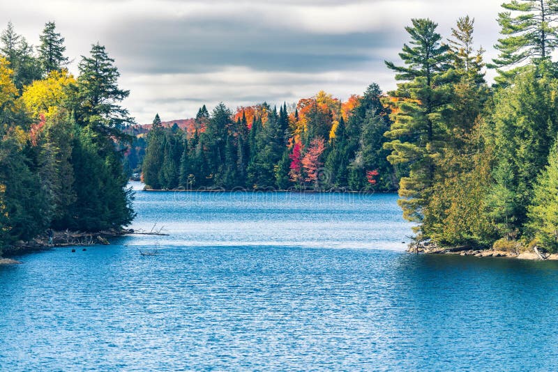 Fall trees with lake stock photo. Image of foliage, larch - 100413786