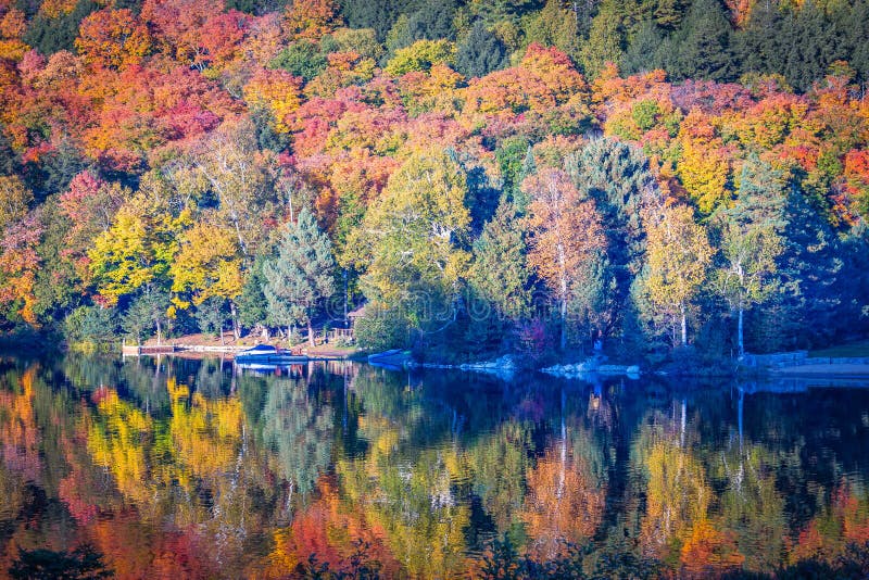 Fall trees with lake stock photo. Image of beautiful - 100413810