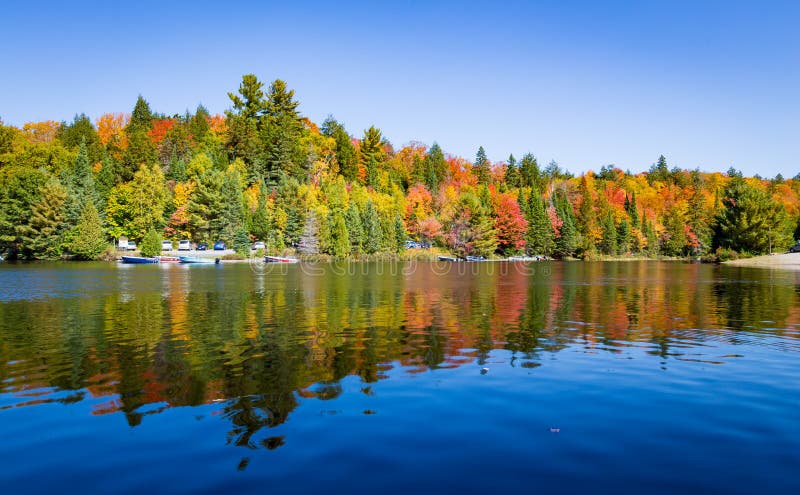 Fall trees with lake stock photo. Image of autumn, golden - 100413772