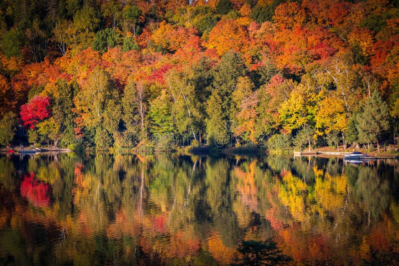 Fall trees with lake stock image. Image of orange, golden - 100413847