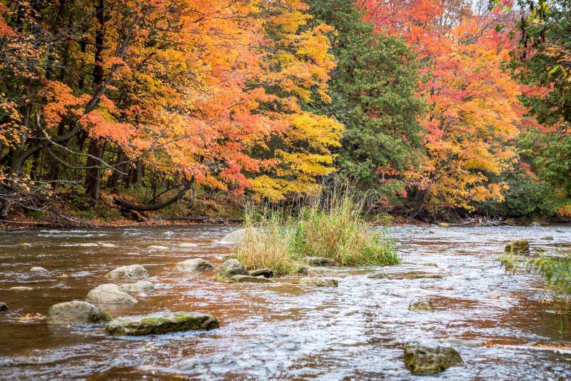 Fall trees with lake stock photo. Image of empty, east - 100414086