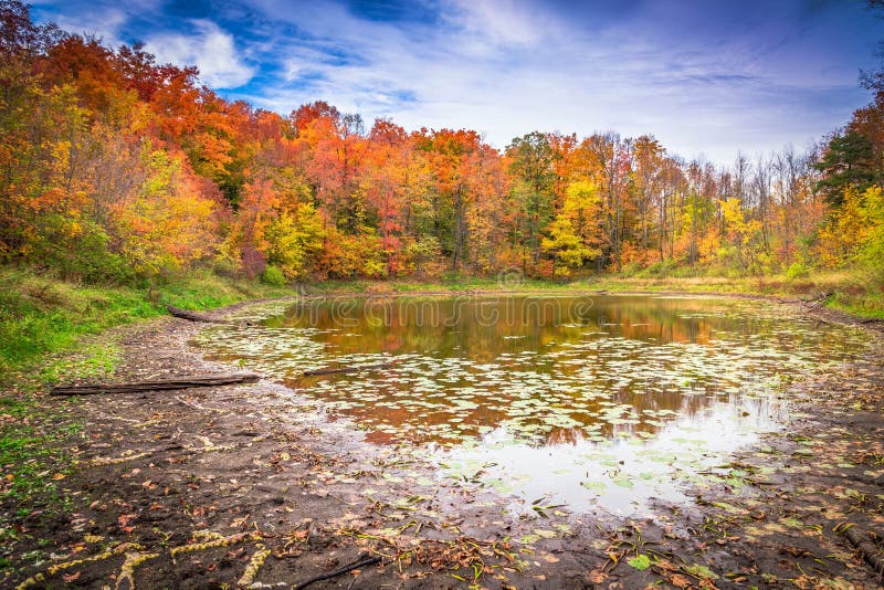 Fall trees with lake stock photo. Image of beautiful - 100414274