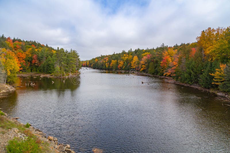 Fall trees with lake stock photo. Image of colorful - 100414432