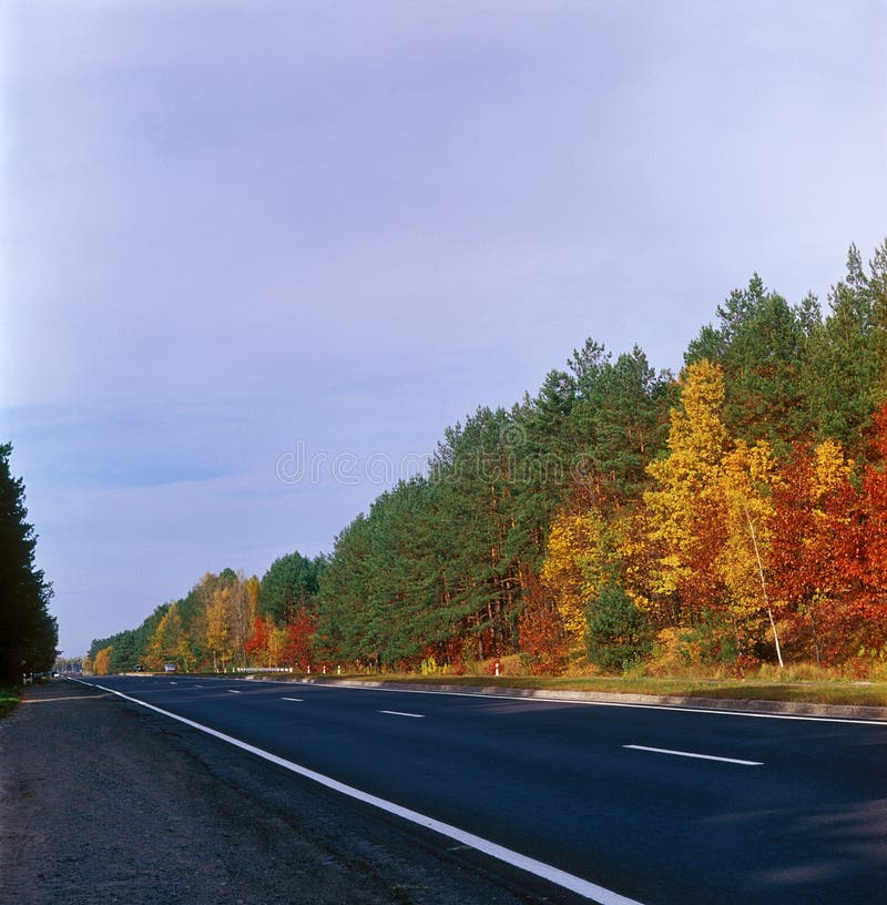 Fall trees - left. stock image. Image of motorway, forest - 11054295