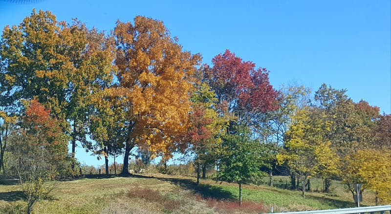 Fall trees in missouri stock image. Image of cityy, missouri - 162284911