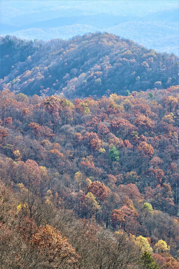Fall trees on mountains stock photo. Image of rolling - 201949986
