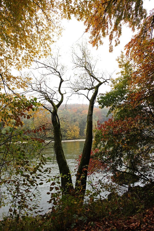 Fall trees over the river stock image. Image of bank - 81770223