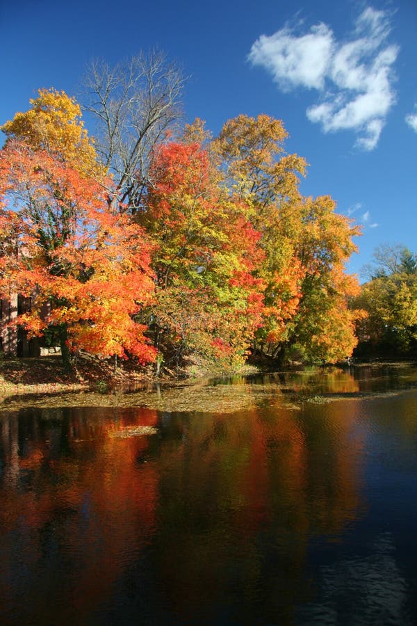 Fall Trees Reflected on River Stock Image - Image of tree, trees: 1548529