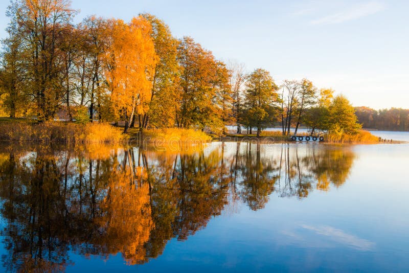 Fall Trees Reflection in Water Stock Photo - Image of foliage, natural ...