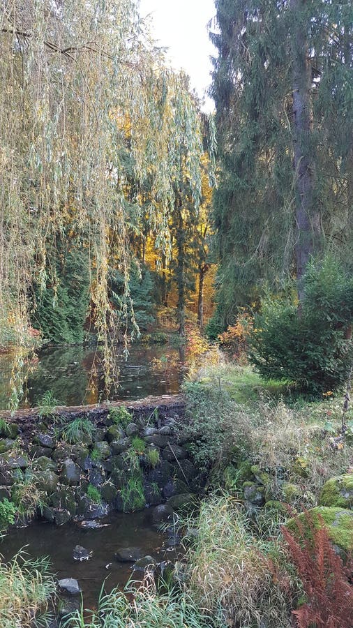 Fall trees river forrest stock image. Image of river - 79778807