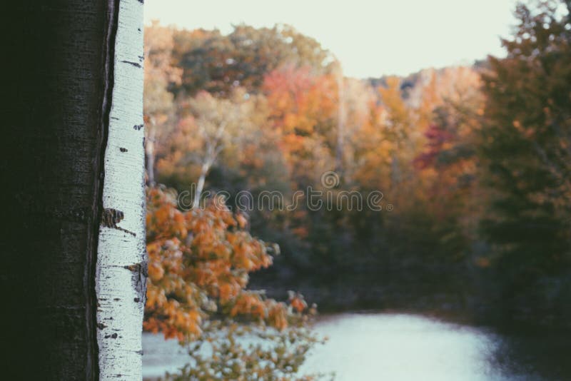 Grand ledge view stock photo. Image of trees, view, ledge - 103932828