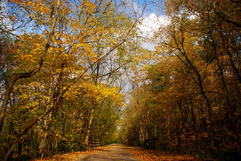 Fall Trees in Southern Ohio Stock Photo - Image of autumnal, america ...