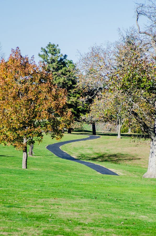 Fall Trees with a Walking Path Stock Photo - Image of outdoor, scenic ...