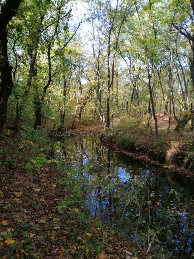 Fall, Ukraine, beautiful stock image. Image of reflection - 199649339