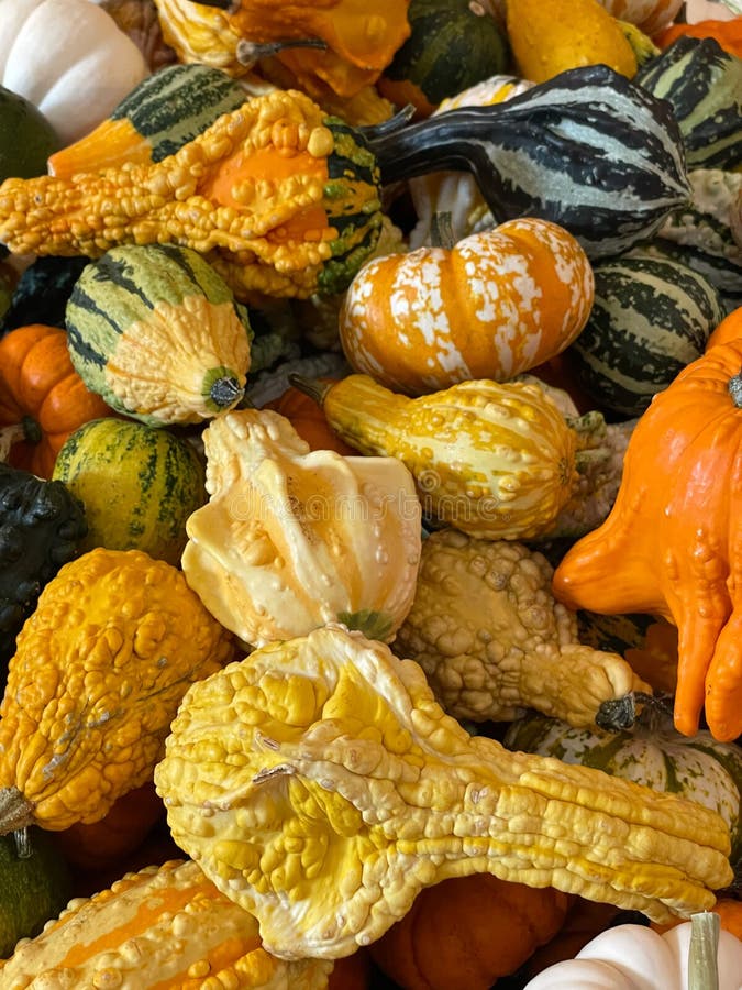 Fall is upon us. stock image. Image of green, small - 260226379