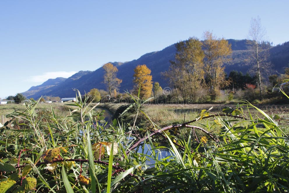 Fall Valley stock photo. Image of source, fresh, long - 46741288