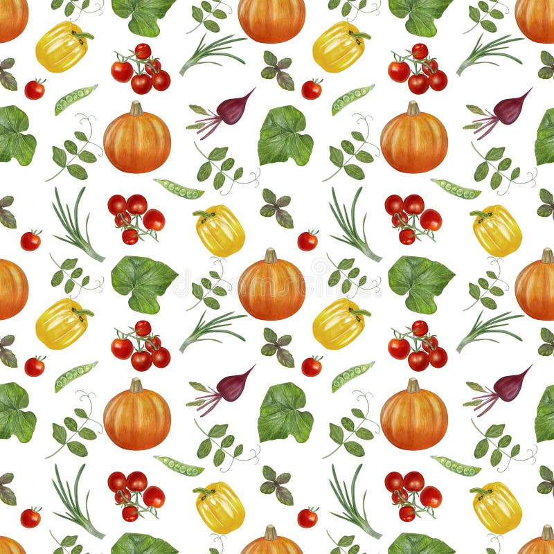 Fall Vegetables Harvest Watercolor Seamless Pattern Isolated on White ...