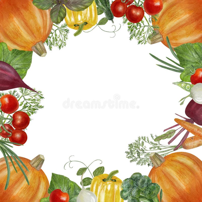 Fall Vegetables Harvest Watercolor Square Frame Isolated on White. Farm ...