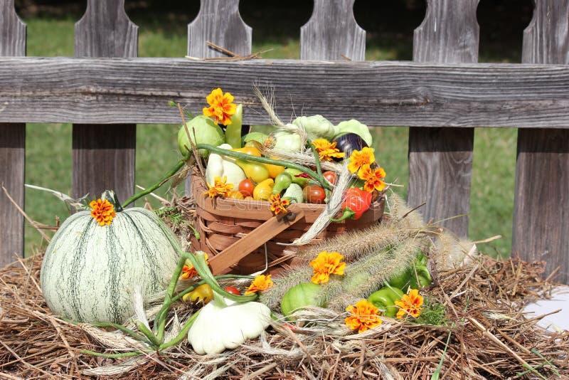 Fall Vegetables in Basket on Top of Straw or Hay Stock Image - Image of ...