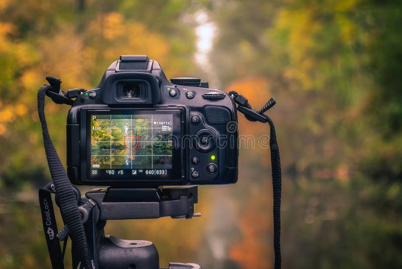 Fall vibe stock photo. Image of corner, capture, tripod - 293925580
