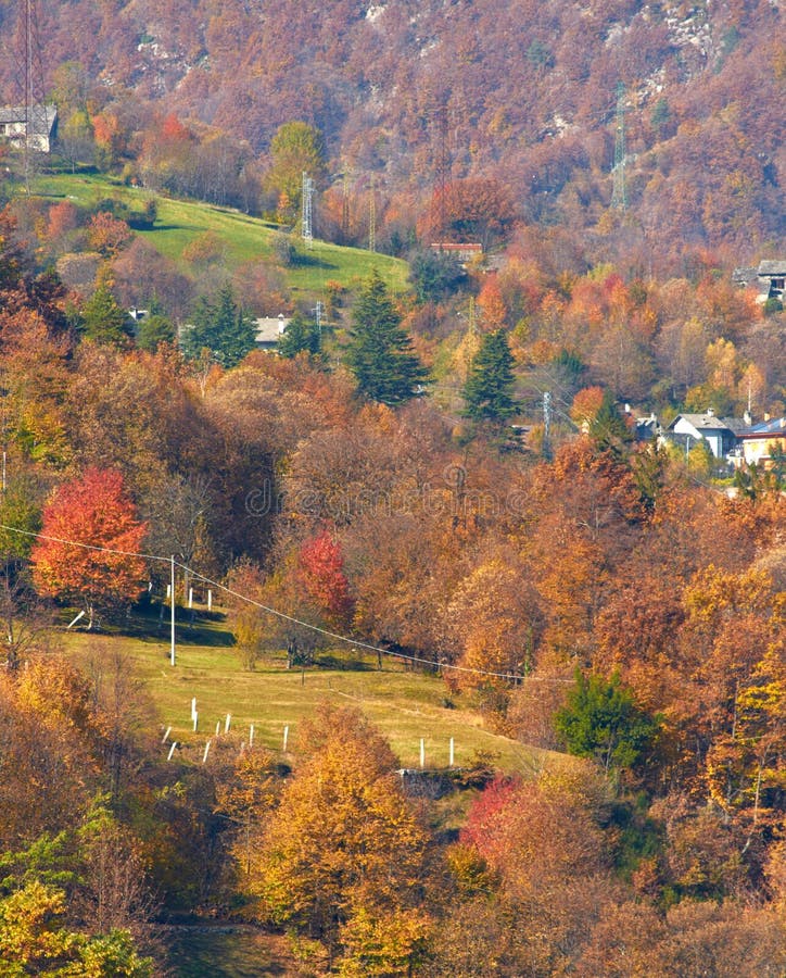 Fall view stock photo. Image of autumn, vertical, nature - 17005982