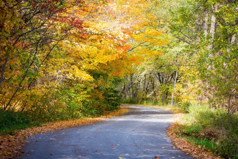Fall View stock photo. Image of color, asphalt, provincial - 100414276