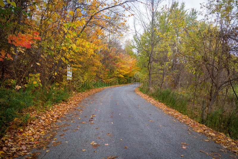 Fall View stock photo. Image of rural, colorful, natural - 100414346