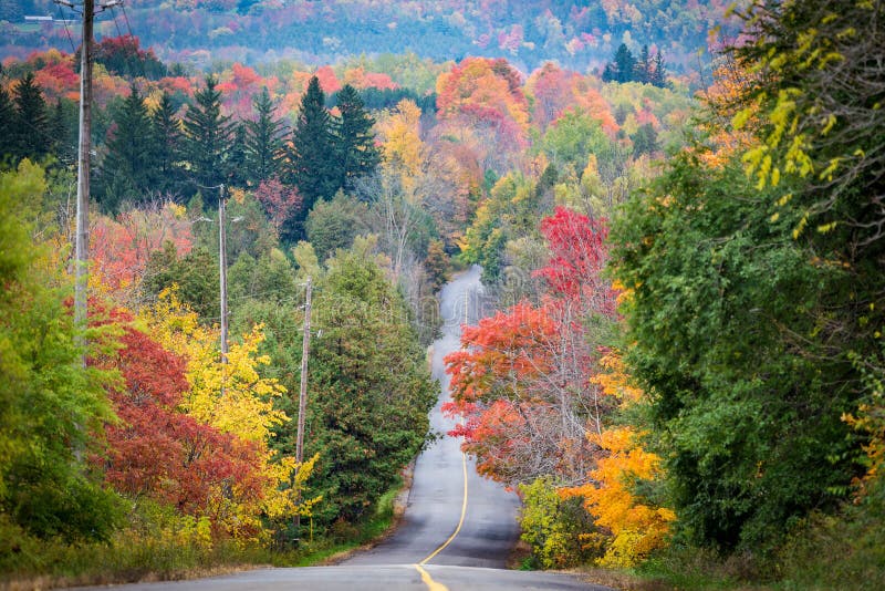 Fall View stock image. Image of foliage, colorful, natural - 100414961