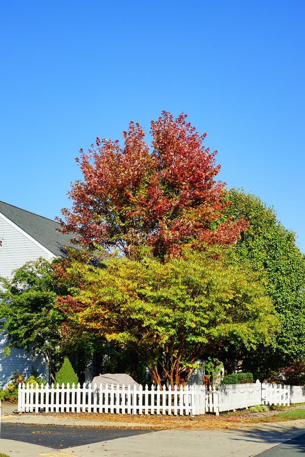Fall of virginia stock image. Image of charlottesville - 134065209
