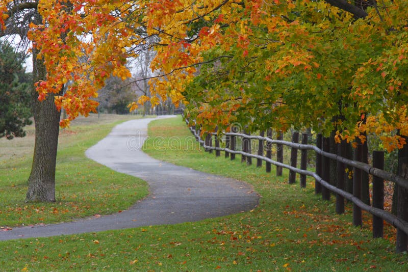 Fall Walk stock image. Image of path, colors, wooden, trail - 6825687