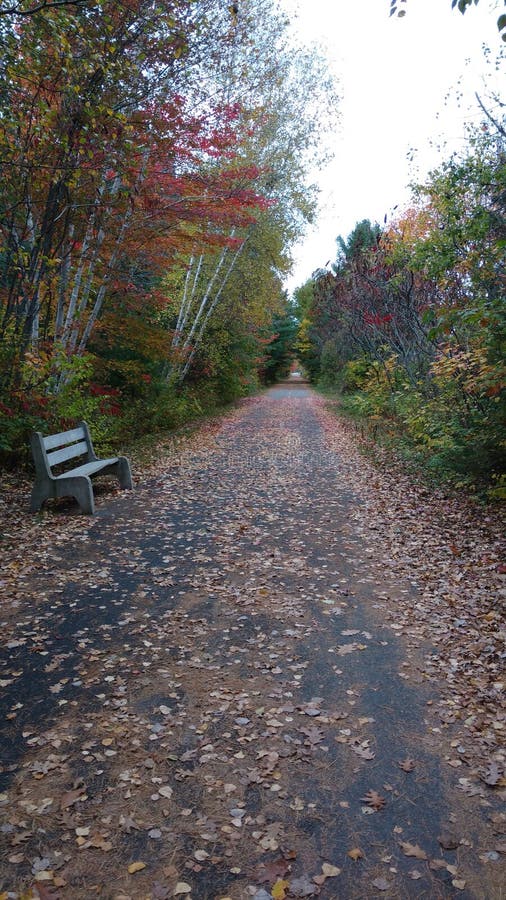 Fall walk along the path stock image. Image of colors - 107242495