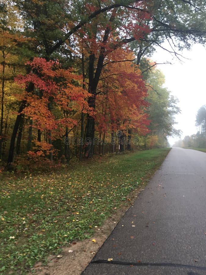 Fall Walk stock image. Image of leaves, diet, autumn, walk - 437645