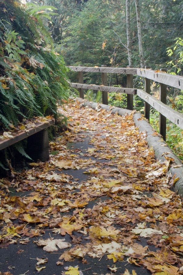 Fall walkway stock photo. Image of walk, rural, treking - 4349402