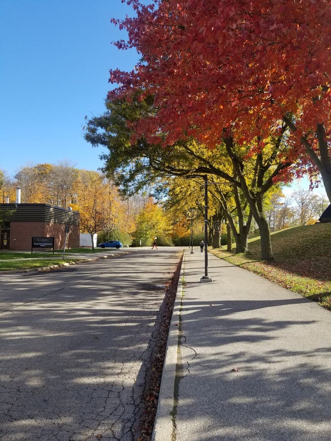 Fall Walkway Road stock photo. Image of street, road - 233730466