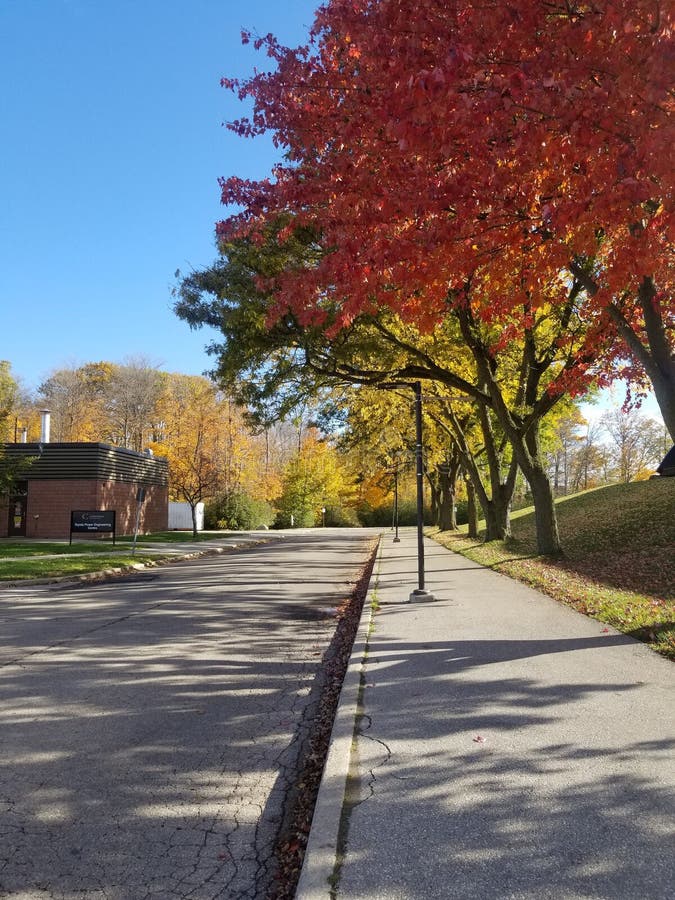 Fall Walkway Road stock image. Image of suburb, sunlight - 233730473