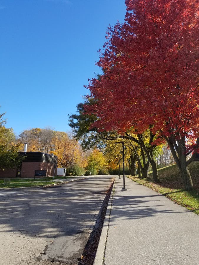 Fall Walkway Road stock photo. Image of suburb, morning - 233730482