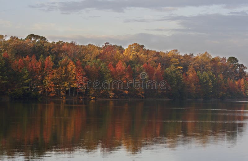 Fall On The Water Picture. Image: 7040091