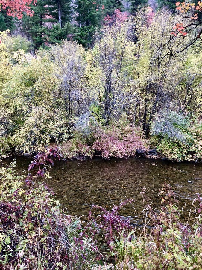 Fall water colors stock image. Image of mountains, clear - 147299481