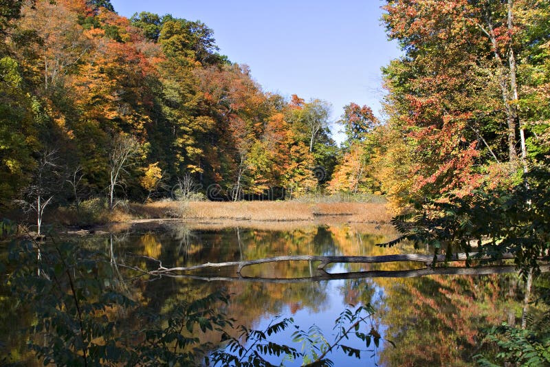 Fall Water And Landscape Picture. Image: 1384516