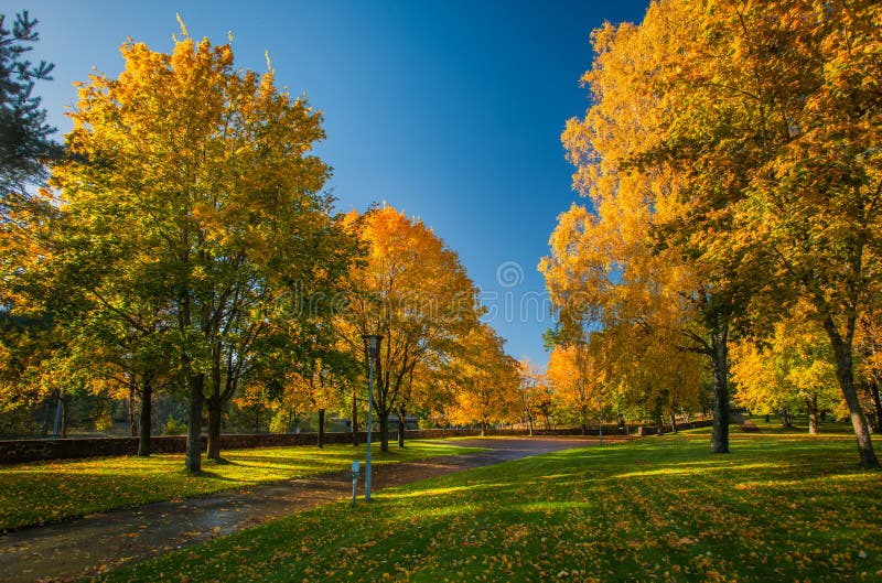 Fall is on the way stock image. Image of evening, colossus - 197244469
